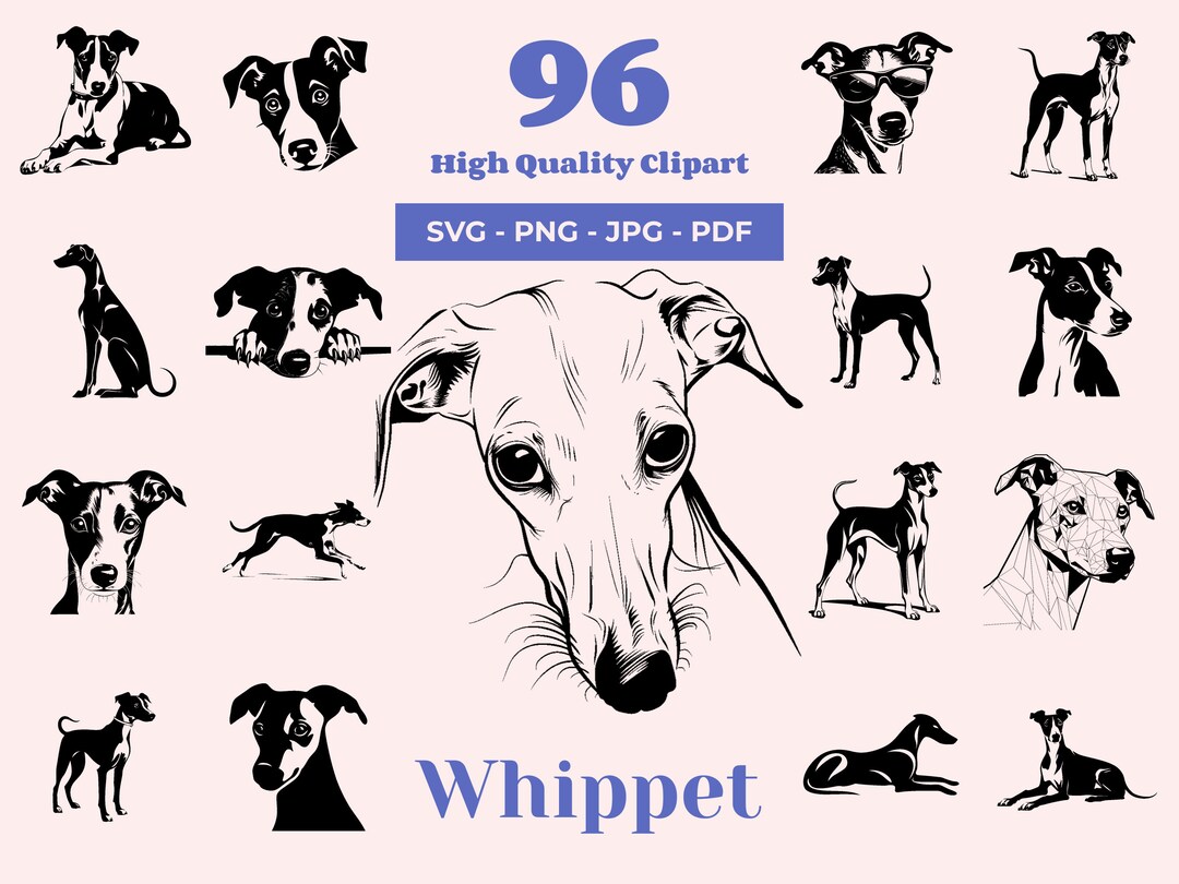 Whippet SVG Bundle - 96 Cut Files - Sleek Racing Dog Art - Sublimation ...