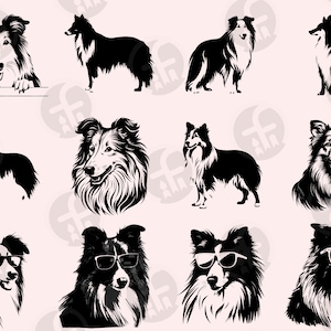 Rough Collie SVG Bundle 96 Cut Files Herding Dog Lassie Dog Perfect for ...