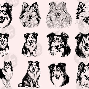 Rough Collie SVG Bundle - 96 Cut Files - Herding Dog - Lassie Dog ...