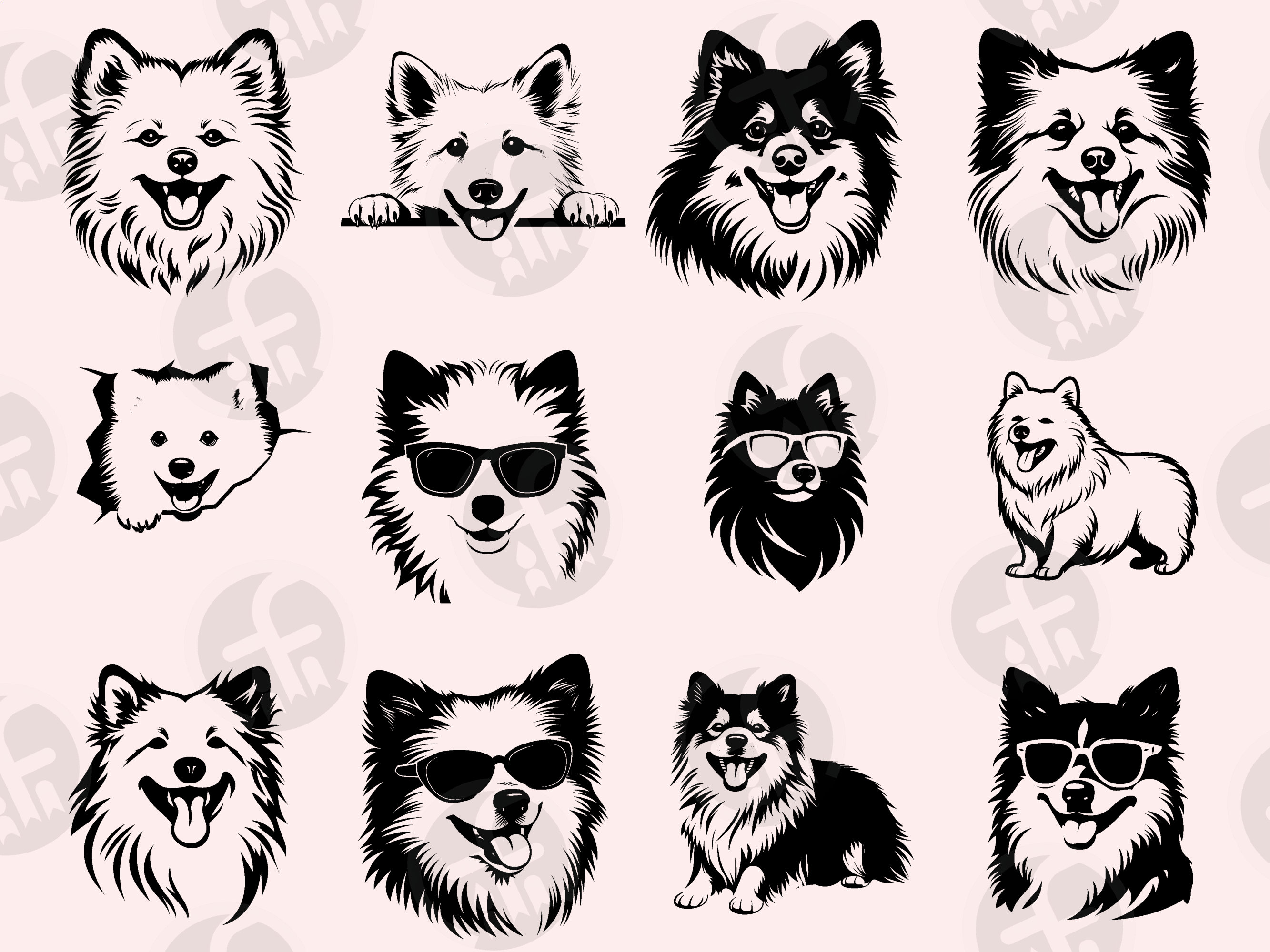 American Eskimo Dog SVG Bundle: 96 Spitz Designs (digital Download) - Etsy
