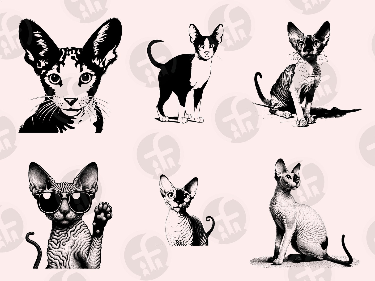 Cornish Rex Cat SVG Bundle: Quirky Feline Clipart (54 Designs) - Etsy