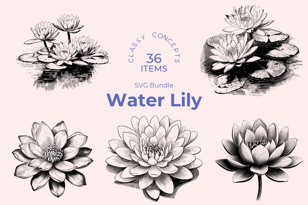 Water Lily SVG Bundle 36 Vintage Engravings Cut Files Aquatic Flower ...