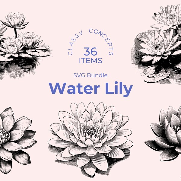 Water Lily - Etsy