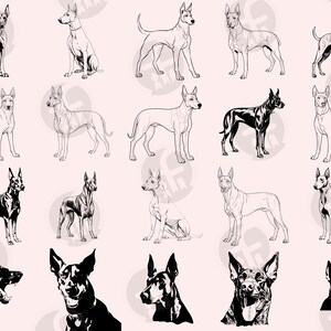 Doberman SVG Bundle - 159 Cut Files - Dobie Art - DIY Craft Projects ...
