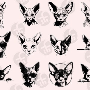 Sphynx Cat SVG Bundle 96 Unique Cut Files Hairless Beauty Wrinkled ...