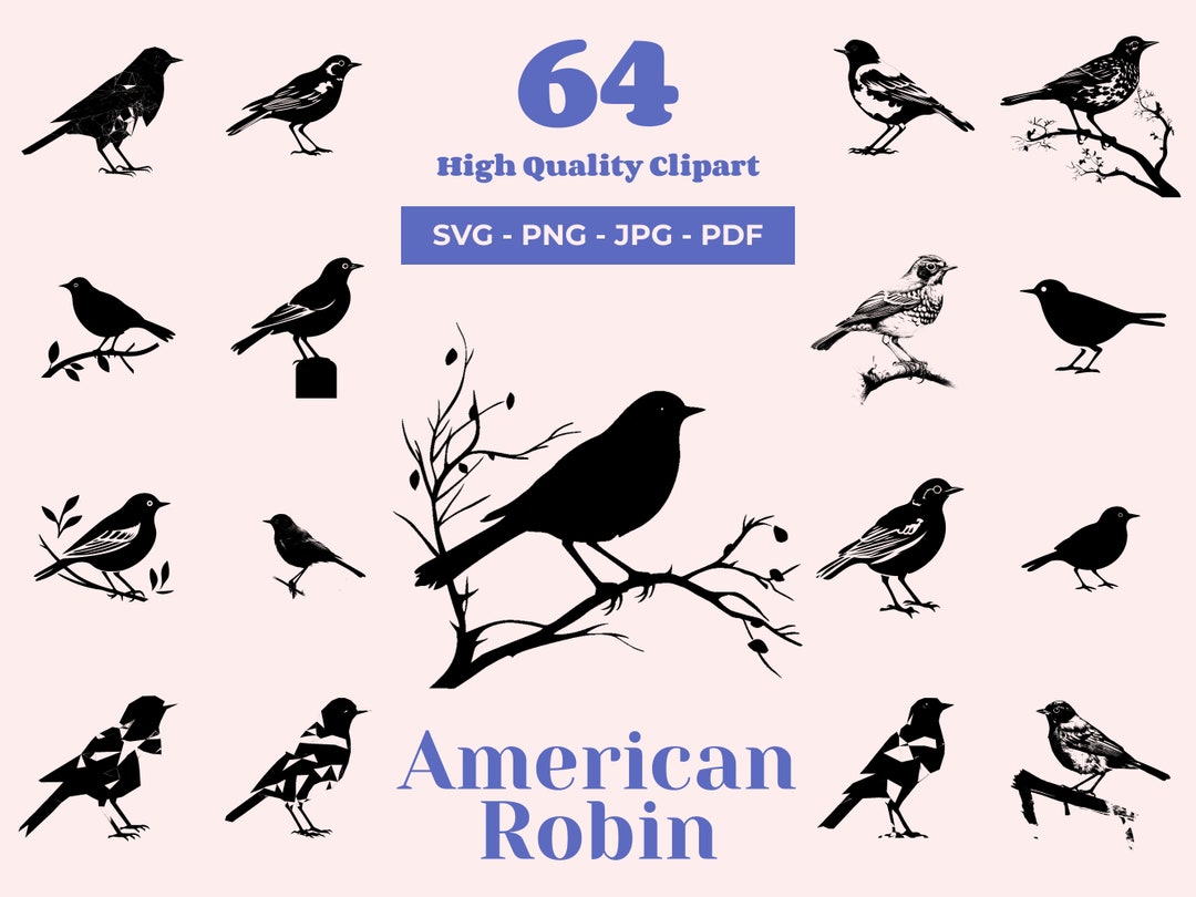 American Robin SVG Collection - 64 Unique Black and White Bird ...