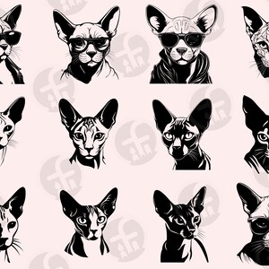 Sphynx Cat SVG Bundle 96 Unique Cut Files Hairless Beauty Wrinkled ...