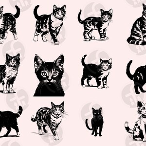 Stray Cat SVG Bundle: 96 Feral Cat Art Designs (digital Download) - Etsy