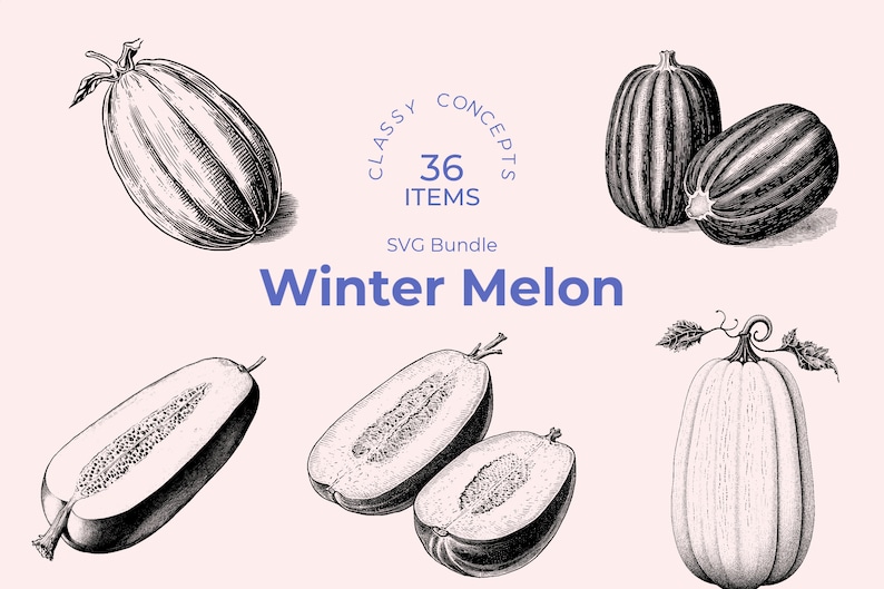 Winter Melon SVG Bundle: 36 Vintage Engravings, Asian Cuisine (digital ...