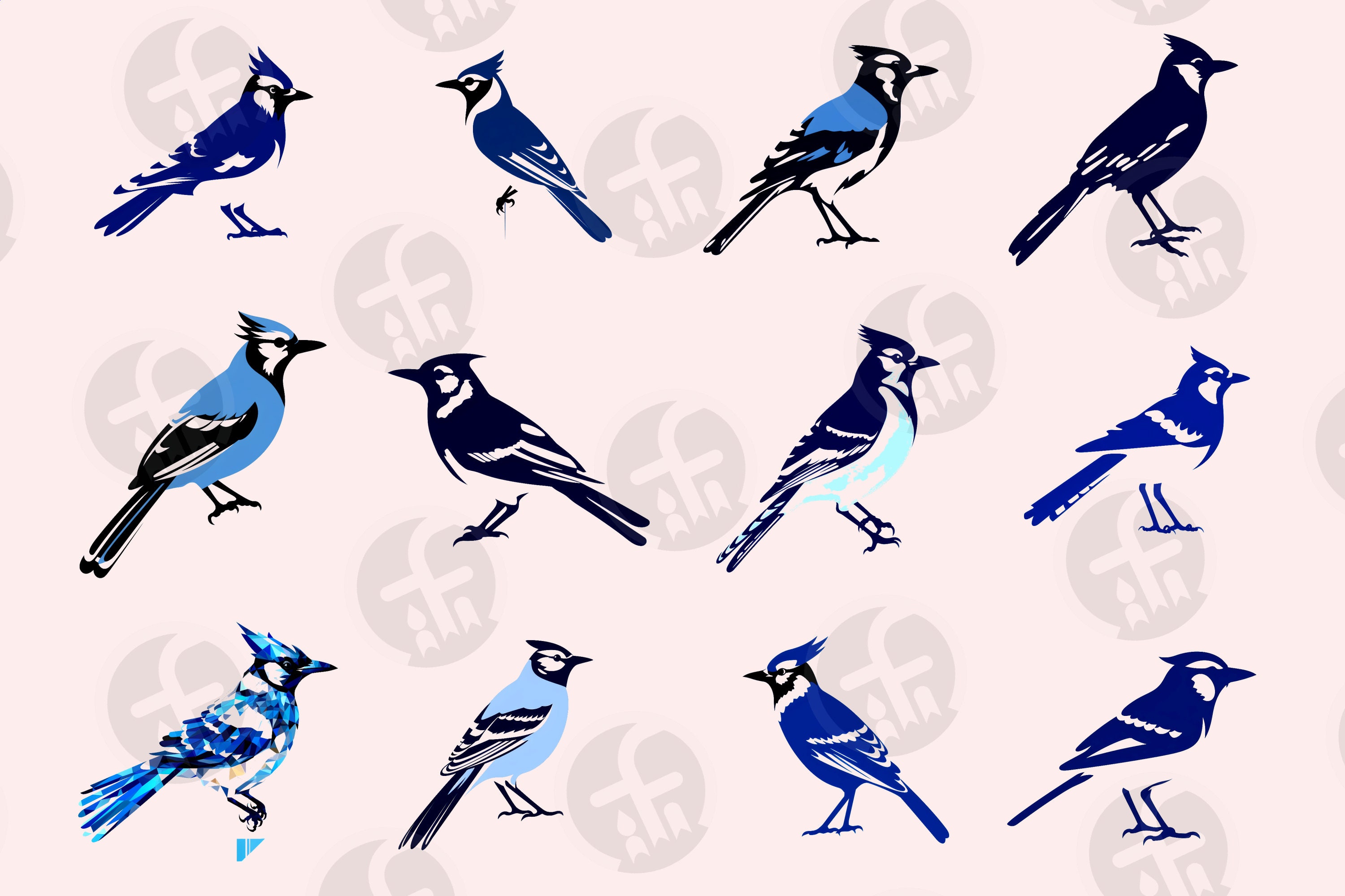 Black and White Blue Jay SVG Bundle 72 Distinct Bird Designs - Etsy