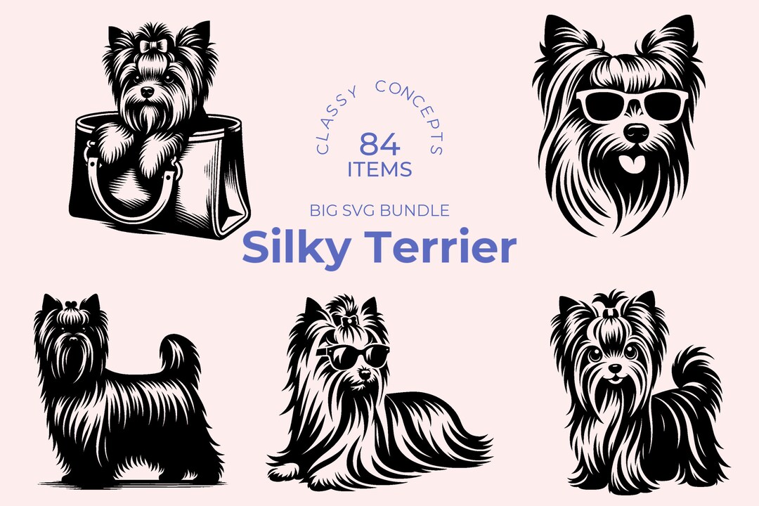 Silky Terrier SVG Bundle 84 Cut Files Elegant Small Dog Art Sublimation ...