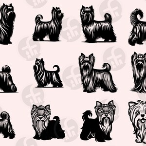 Silky Terrier SVG Bundle 84 Cut Files Elegant Small Dog Art Sublimation ...