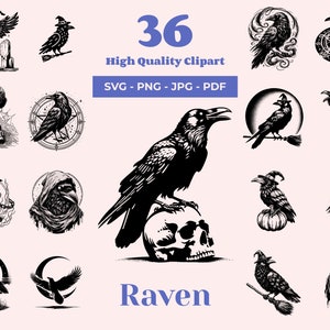 Mystical Raven SVG Bundle - 36 Designs - Halloween Decorations SVG ...
