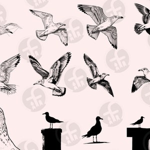 Seagull SVG Bundle 96 Cut Files Beach Bird Clipart Seagull Prints ...