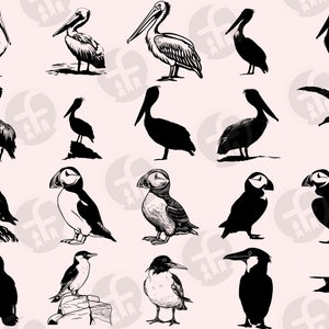 Ocean Birds SVG Bundle - 180 Cut Files - Coastal Bird Clipart - Marine ...