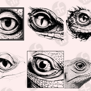 Lizard Eye SVG Clipart Bundle: Reptilian Gaze Designs (digital Download ...