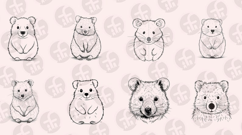 Quokka One Line Art SVG: Minimalist Animal Design (digital Download ...