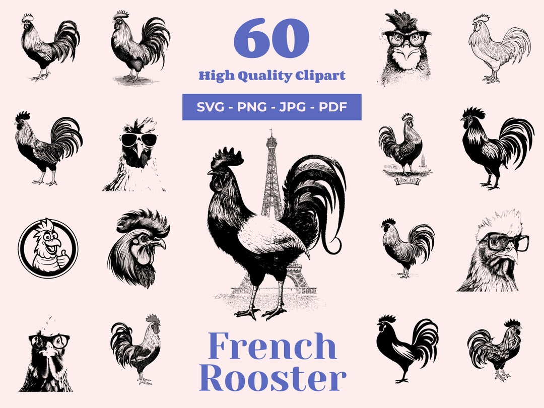 French Rooster SVG Bundle - 60 Designs - Vintage Rooster Clipart ...