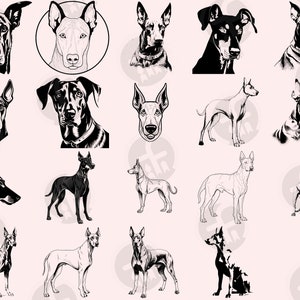 Doberman SVG Bundle - 159 Cut Files - Dobie Art - DIY Craft Projects ...
