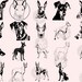 Doberman SVG Bundle - 159 Cut Files - Dobie Art - DIY Craft Projects ...