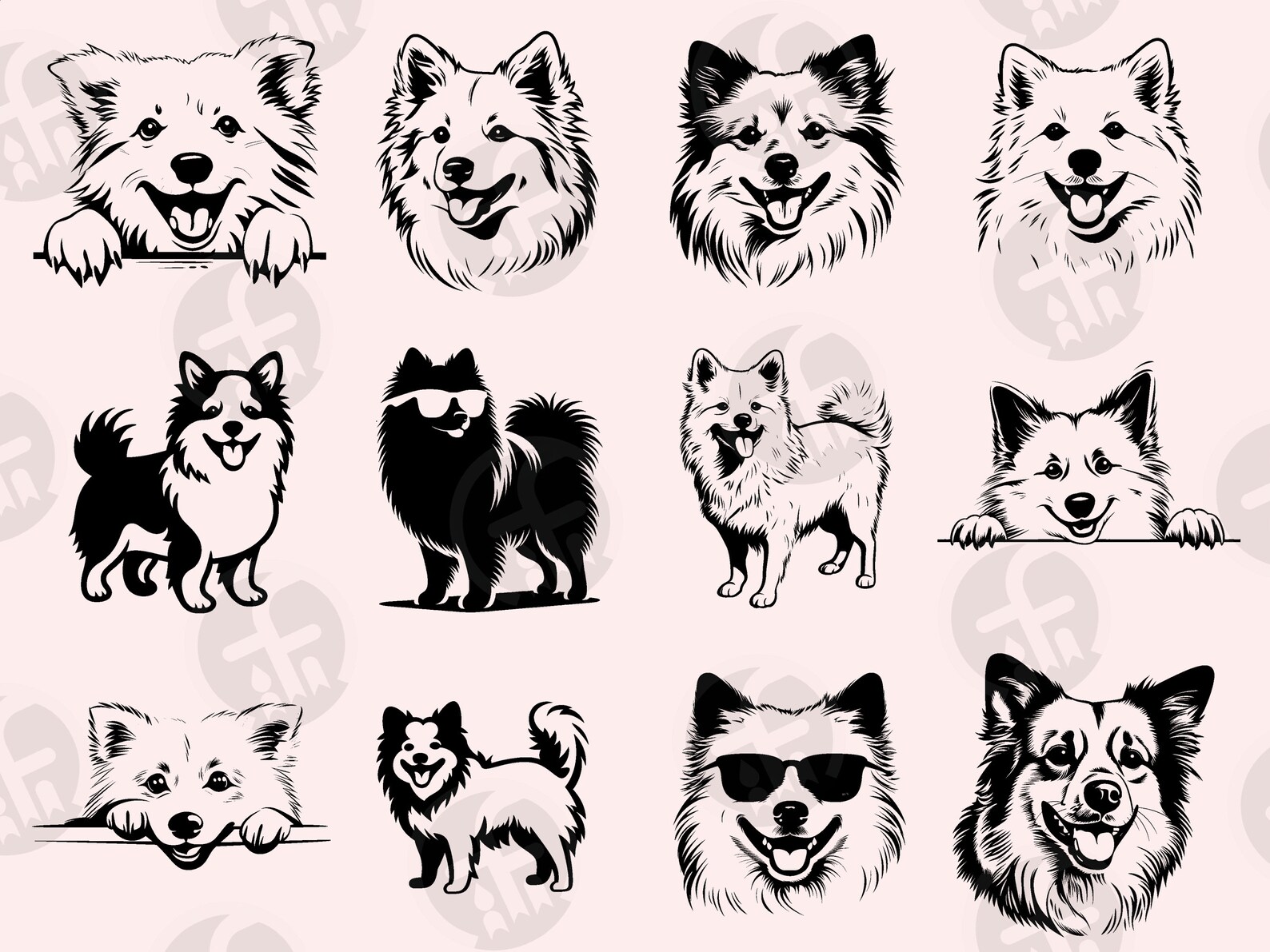American Eskimo Dog SVG Bundle: 96 Spitz Designs (digital Download) - Etsy