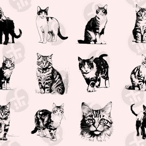 Stray Cat SVG Bundle: 96 Feral Cat Art Designs (digital Download) - Etsy