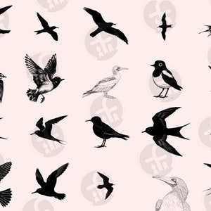 Ocean Birds SVG Bundle 180 Cut Files Coastal Bird Clipart Marine Avian ...
