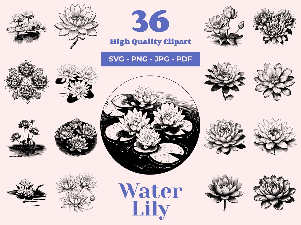 Water Lily SVG Bundle - 36 Vintage Engravings - Cut Files - Aquatic ...