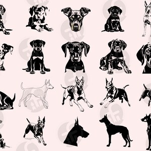 Doberman SVG Bundle - 159 Cut Files - Dobie Art - DIY Craft Projects ...