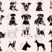 Doberman SVG Bundle - 159 Cut Files - Dobie Art - DIY Craft Projects ...