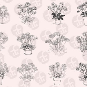 Kalanchoe Line Art SVG Bundle: Minimalist Succulent Designs (digital ...
