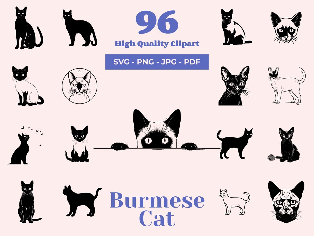 Burmese Cat SVG Clipart Bundle: 96 Asian Breed Designs (digital ...