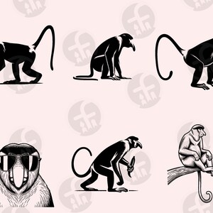 Proboscis Monkey SVG Bundle 54 Designs Monkey Sublimation Laser Files ...