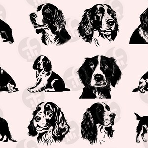 English Springer Spaniel SVG Bundle 96 Cut Files Energetic Hunting Dog ...