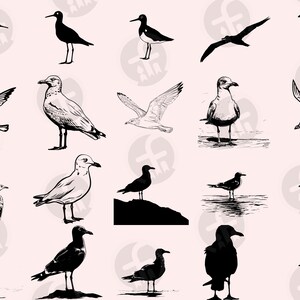 Ocean Birds SVG Bundle 180 Cut Files Coastal Bird Clipart Marine Avian ...