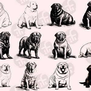 Chubby Labrador SVG Bundle 52 Cut Files Obese Animals, Funny Labrador ...