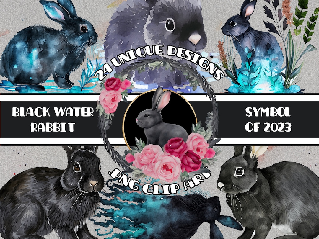 Symbol of 2023: the Black Water Rabbit - 24 Unique Designs - Year of ...