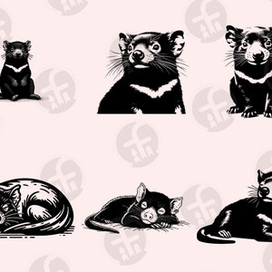 Tasmanian Devil SVG Bundle 36 Cut Files Sarcophilus Designs for Laser ...
