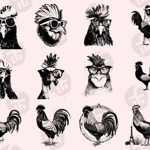 French Rooster SVG Bundle - 60 Designs - Vintage Rooster Clipart ...