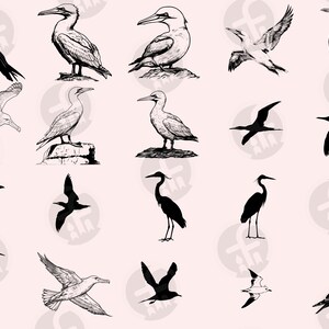 Ocean Birds SVG Bundle 180 Cut Files Coastal Bird Clipart Marine Avian ...