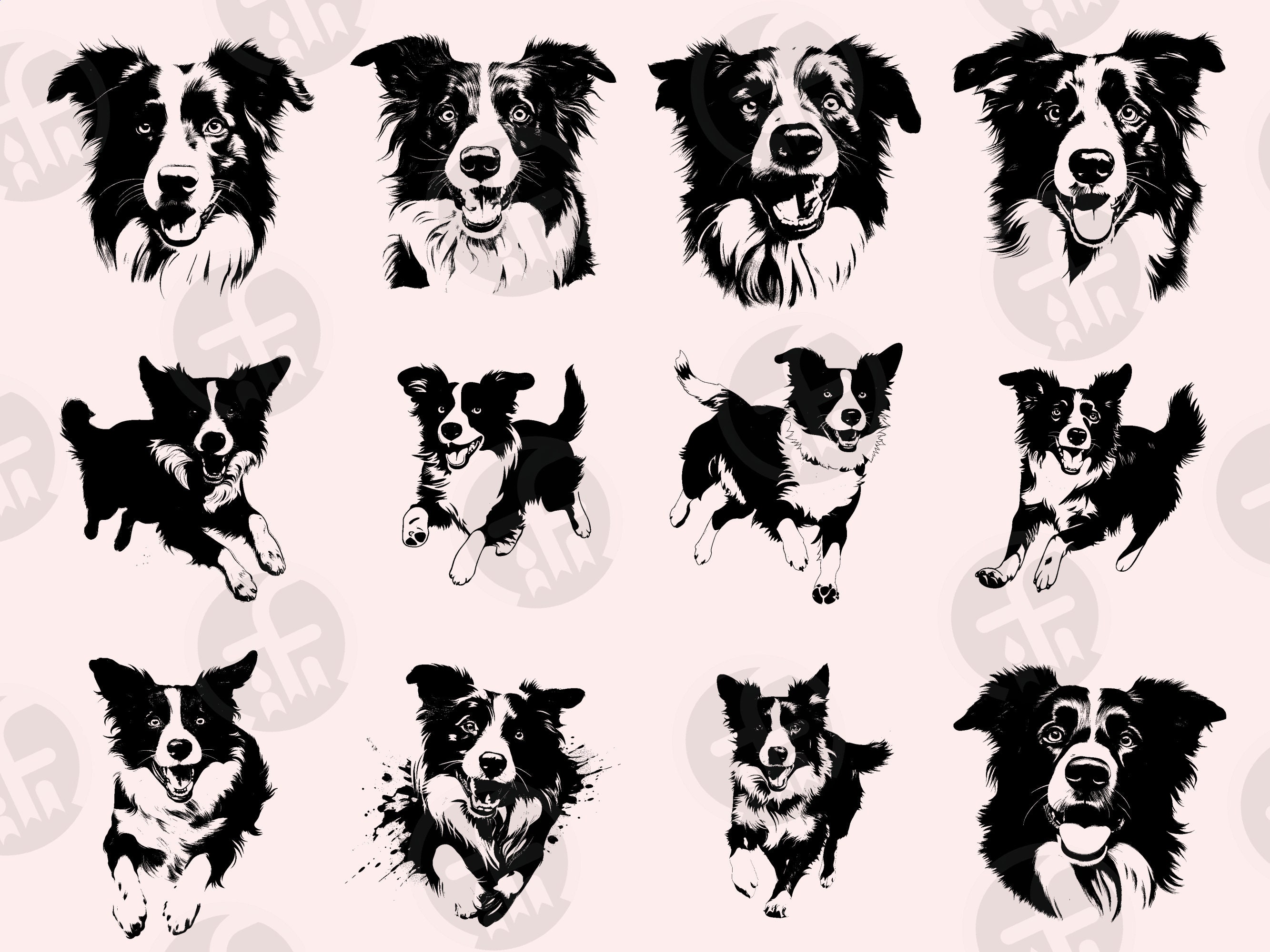 Border Collie SVG Bundle: 84 Dog Illustrations, Cut Files (digital ...