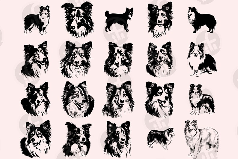 Shetland Sheepdog SVG Bundle 167 Cut Files Sheltie - Etsy
