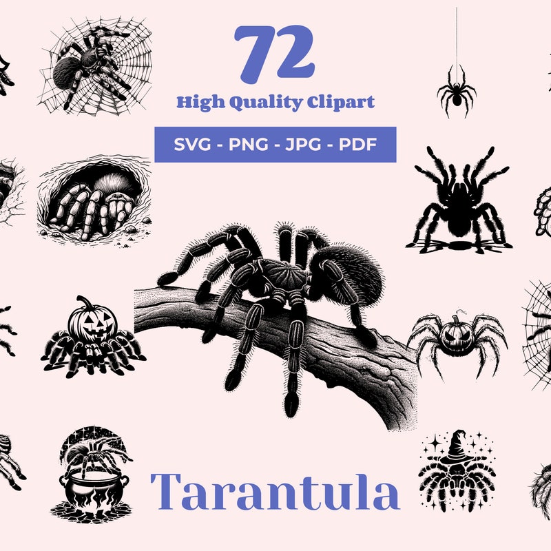 Tarantula - Etsy
