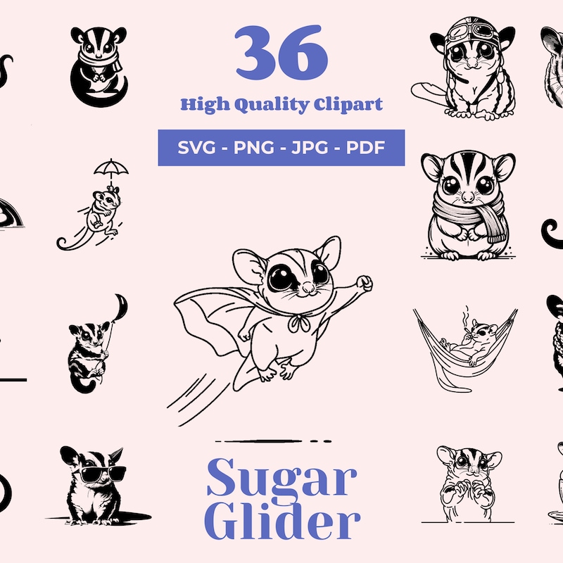 Sugar Glider - Etsy