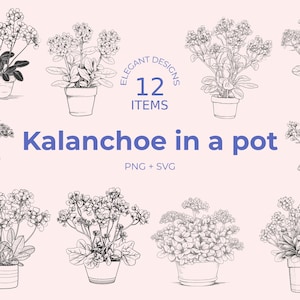 Kalanchoe Line Art SVG Bundle: Minimalist Succulent Designs (digital ...