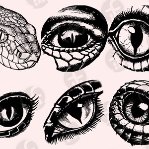 Snake Eye SVG Bundle 36 Designs Reptile Gaze Serpent Clipart Danger and ...