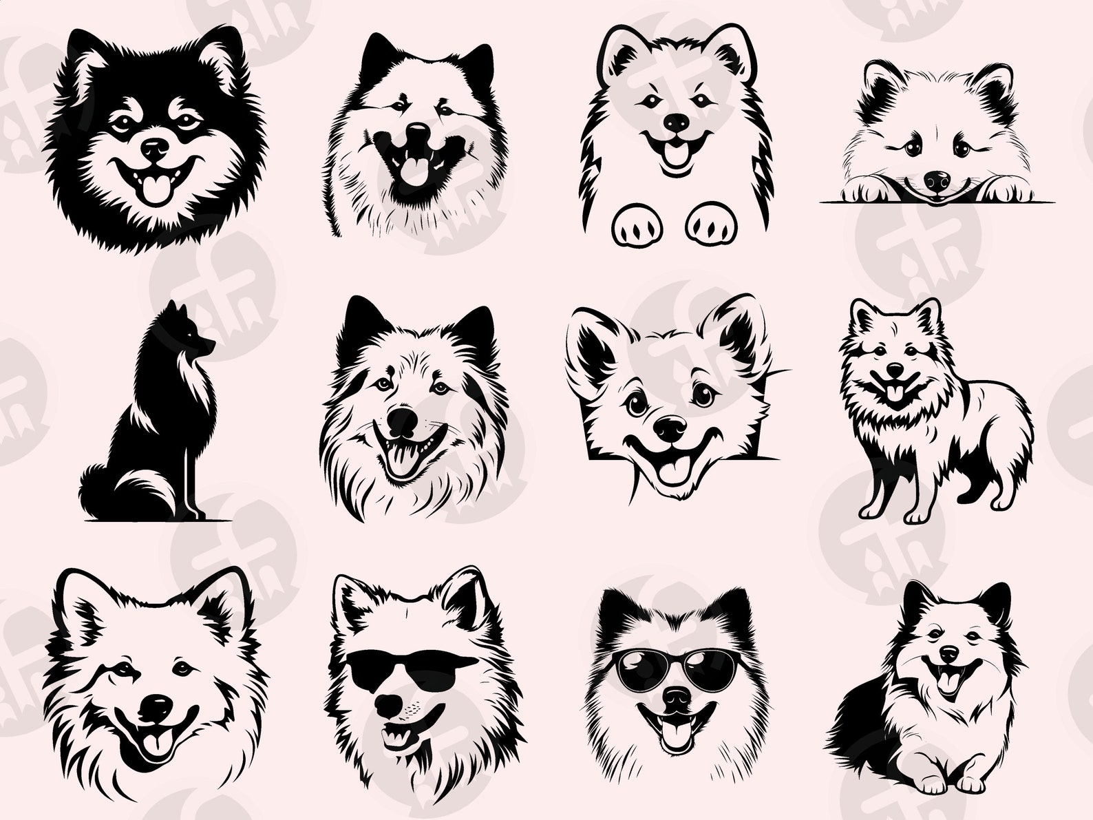 American Eskimo Dog SVG Bundle: 96 Spitz Designs (digital Download) - Etsy