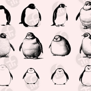 Fat Penguin SVG Bundle - 72 Designs - Penguin Clipart - Penguin PNG ...