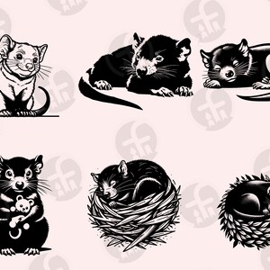 Tasmanian Devil SVG Bundle 36 Cut Files Sarcophilus Designs for Laser ...
