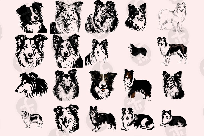 Shetland Sheepdog SVG Bundle 167 Cut Files Sheltie - Etsy